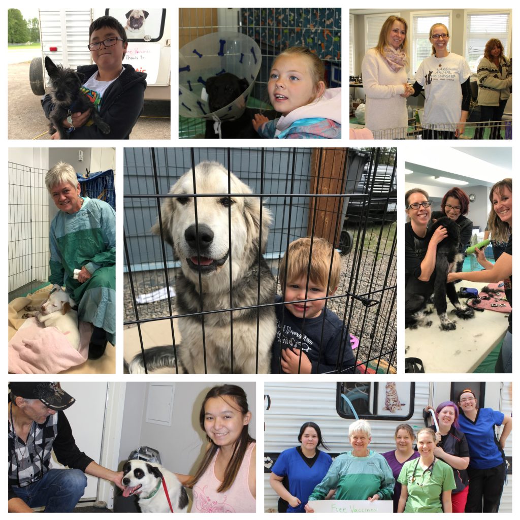 Community Animal Care Event 2019 Rocked! – Lakes Animal Friendship Society