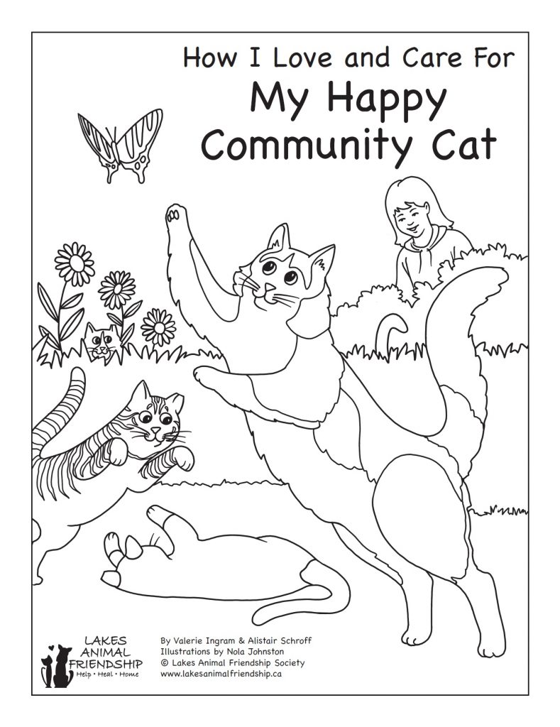 How I Love and Care for My Happy Community Cat – Lakes Animal ...